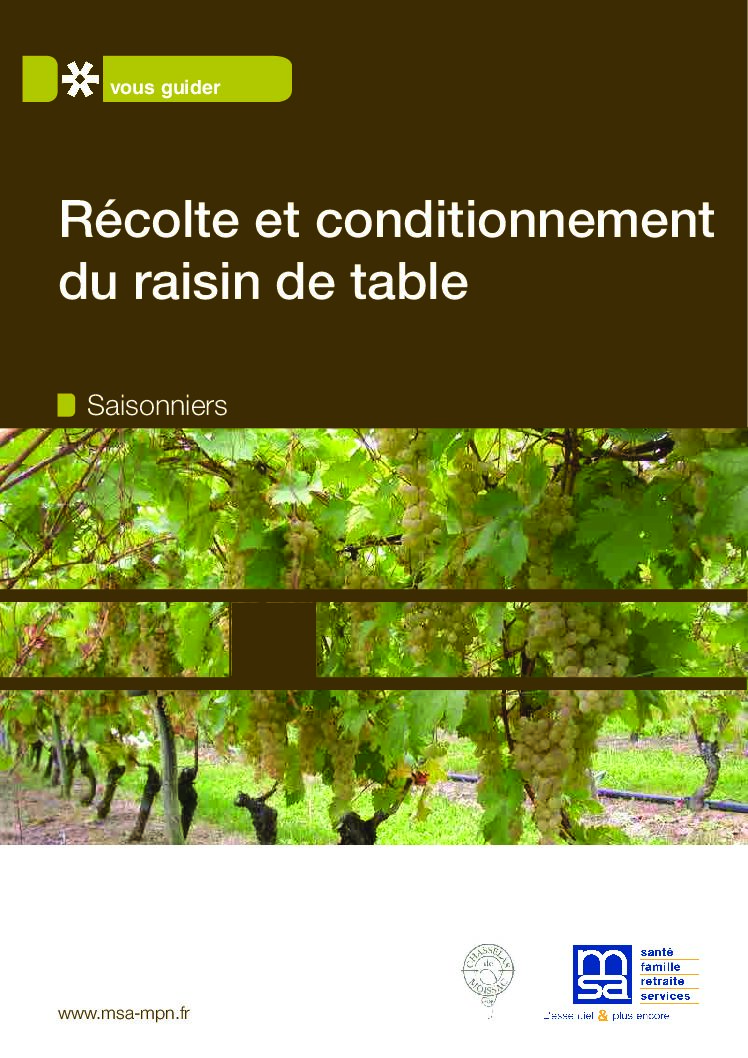 MSA – Santé Sécurité en Agriculture - Récolte et conditionnement du ...